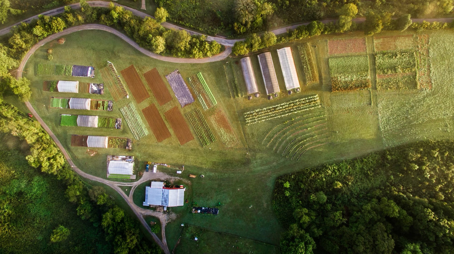 Bountiful Blessings Farm
