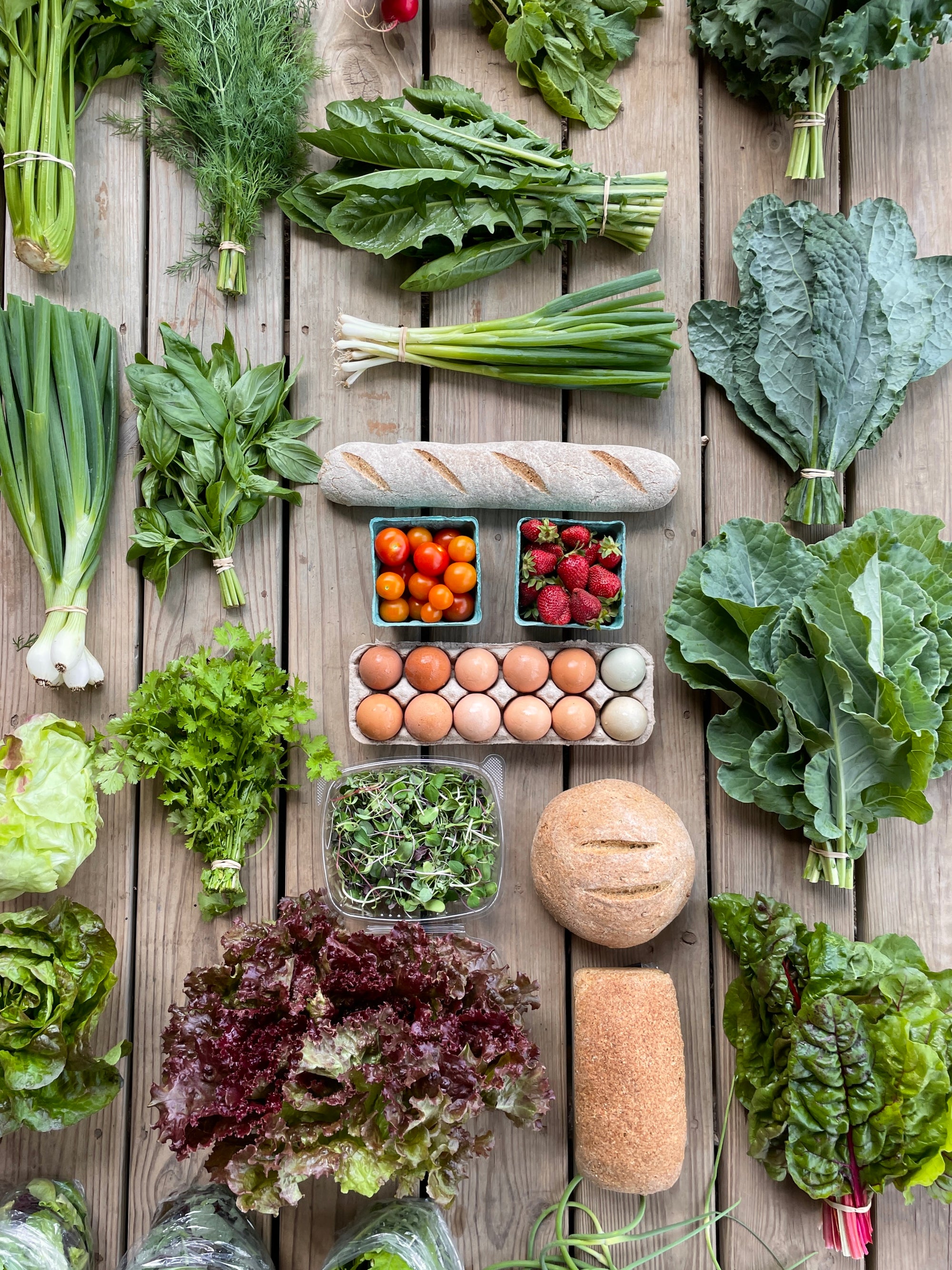 Bountiful Blessings Farm